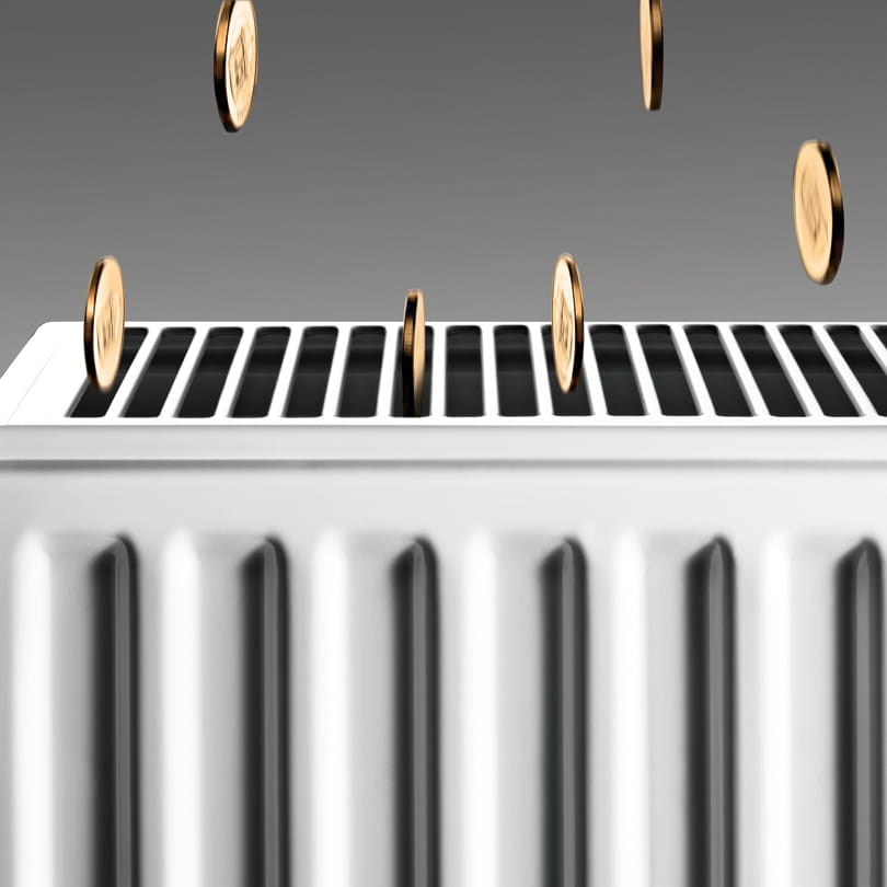 Renovation financing: government support for house renovations